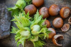 9 health benefits of Hazelnuts